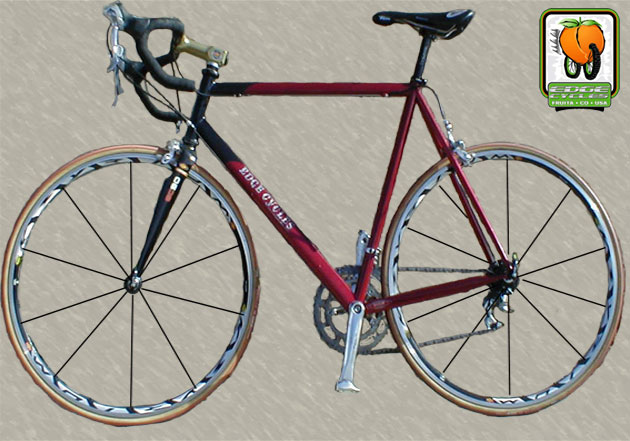 Edge Cycles Pellegrino Frame