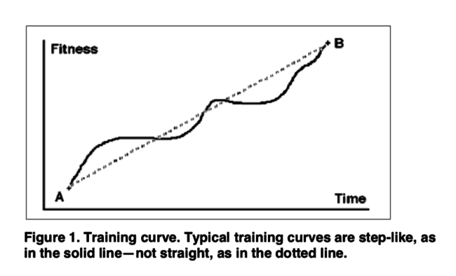 Training Principles and the Training Curve